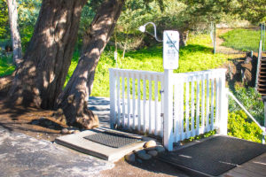 Gallery — Ocean Echo Inn & Beach Cottages