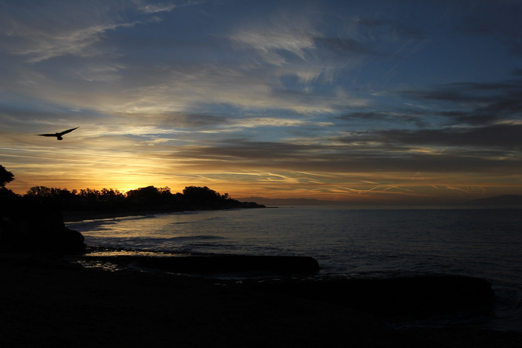 Gallery — Ocean Echo Inn & Beach Cottages