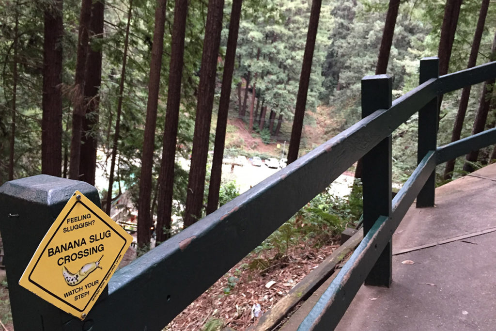 Gallery — Ocean Echo Inn & Beach Cottages