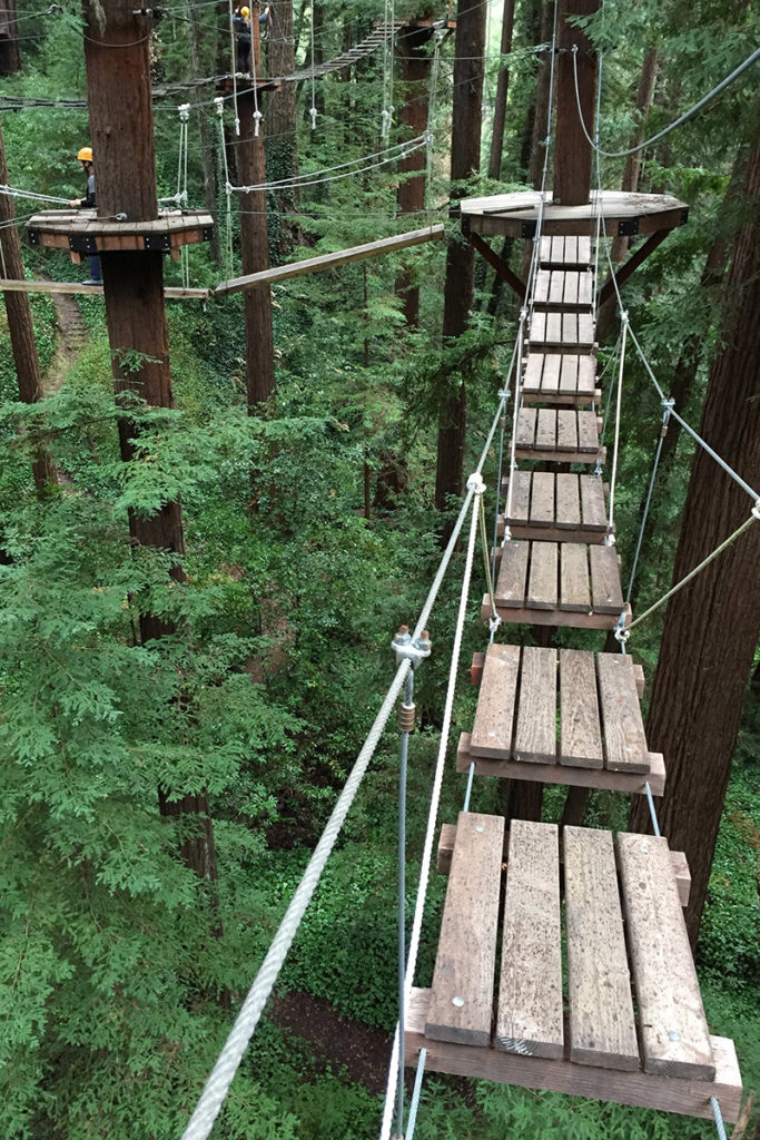 Gallery — Ocean Echo Inn & Beach Cottages