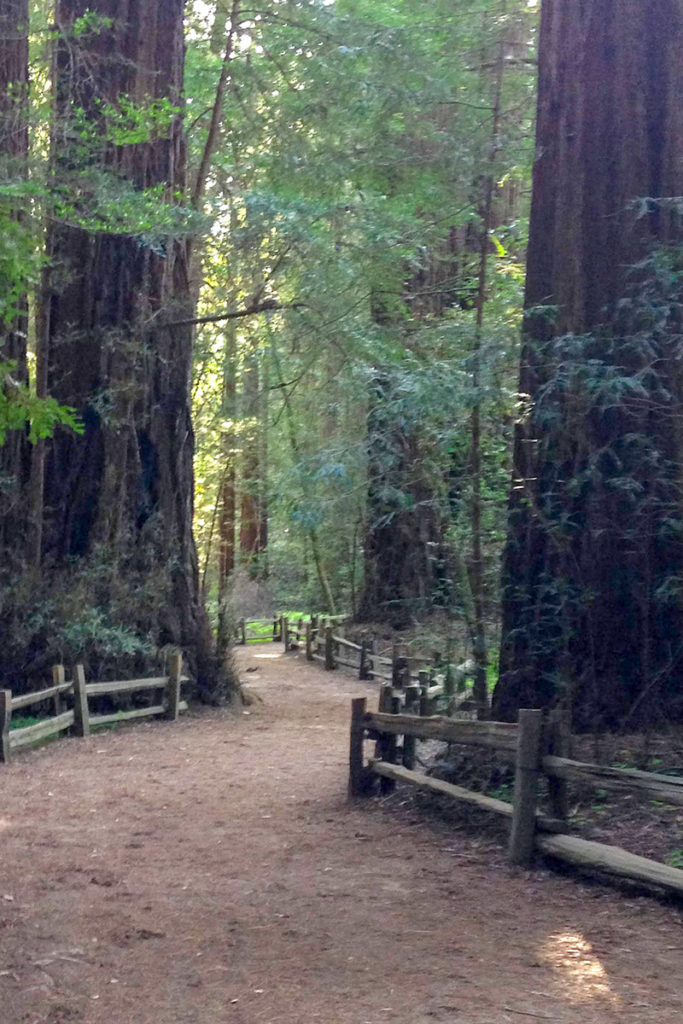 Gallery — Ocean Echo Inn & Beach Cottages